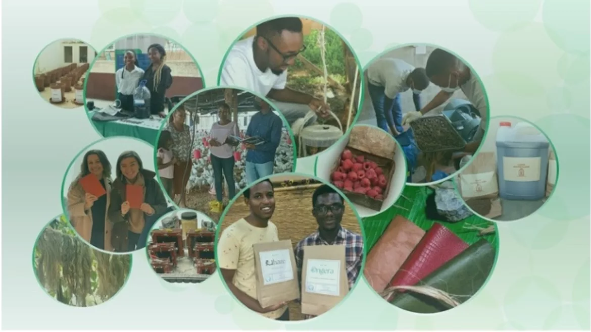 Wege Prize’s Legacy of Advancing a Circular Economy Accentuates Earth ...